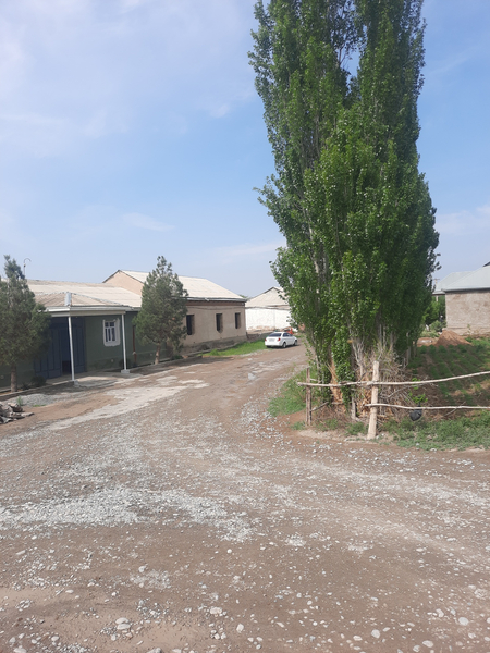 Hovli uy sotiladi Bekobod shahridan 5km uzoqlikda.