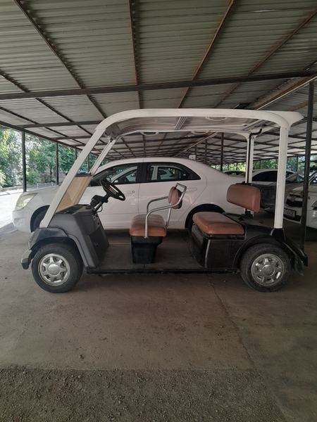 Golf car yamaha.