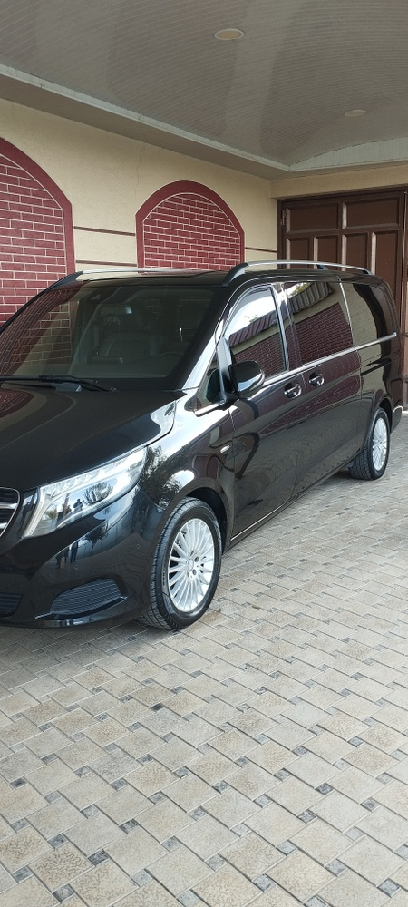Mercedes Viano 2017