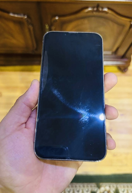 Iphone 13 pro max 256