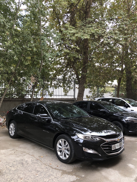 Malibu premier 2021 top toza
