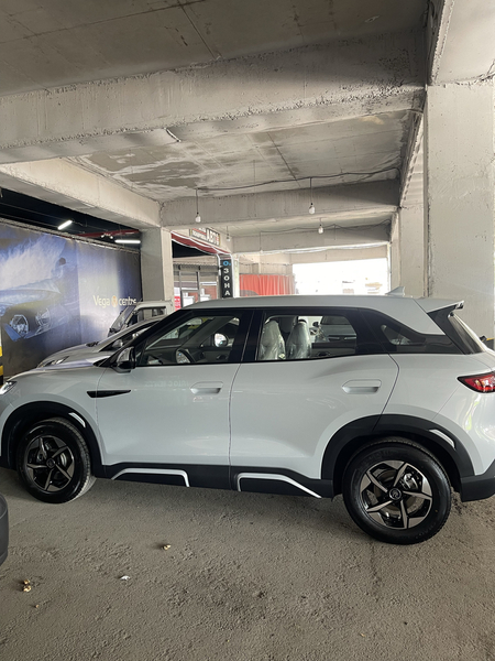 BYD yuan up 2 позиция