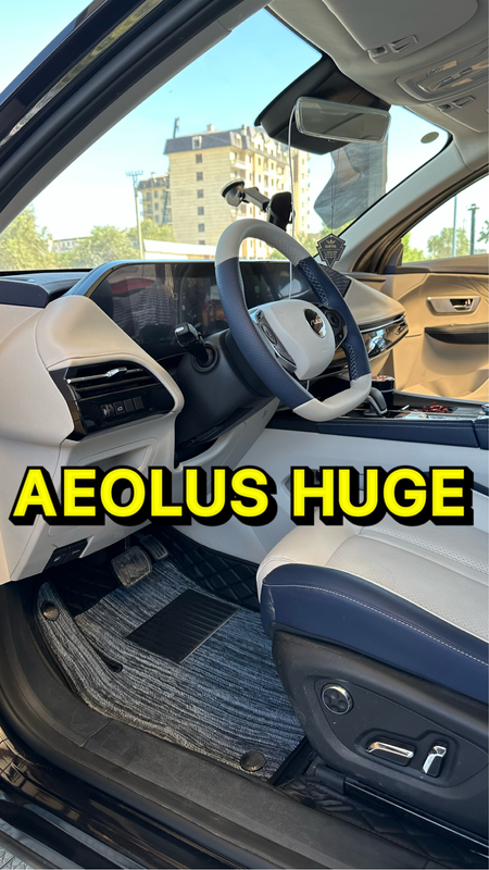 9D polik / коврики для Aeolus Huge