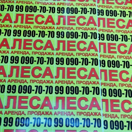 Леса леса ардага сотувга бор леса