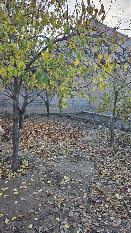 Участка Сергели котелныйда 1 хонали ховли топширилали СРОЧНО.
