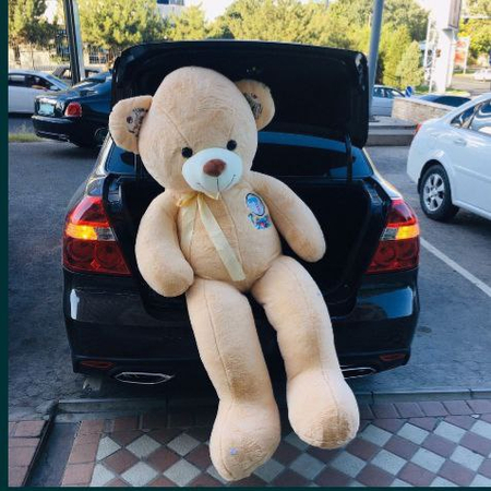 Teddy va boshqa yumshoq oʻyinchoqlar