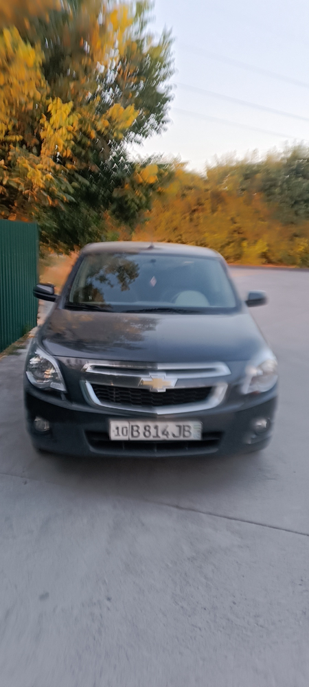 Mokriy asvalt 2024 31-aprel
