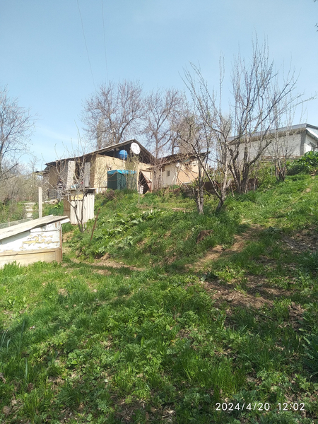 Продам дом в чимгане