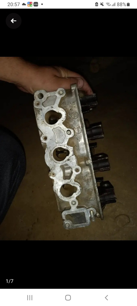 Galofka damas labo matiz ticoga tushadi