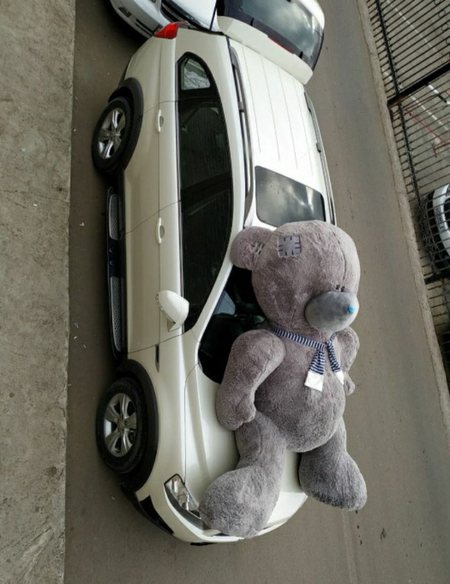 Teddy va boshqa yumshoq oʻyinchoqlar