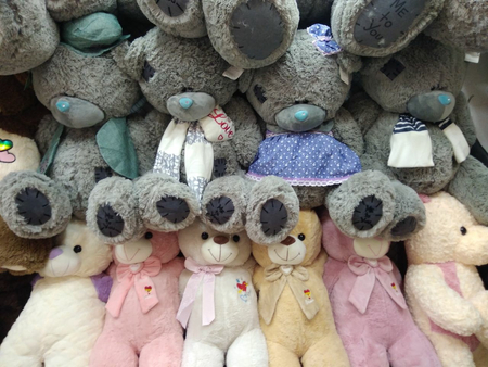 Teddy Teddi Teddiy ayiqchalari