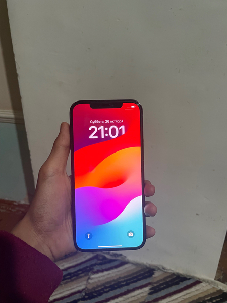 IPhone 12 Pro Max ideal narxi 6.500