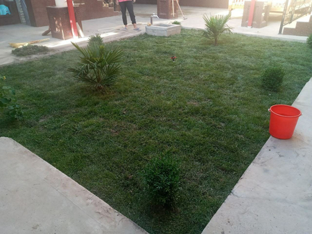 Gazon ekish lanshaftni dizzying ishlari archalar gular xar turdagi dek