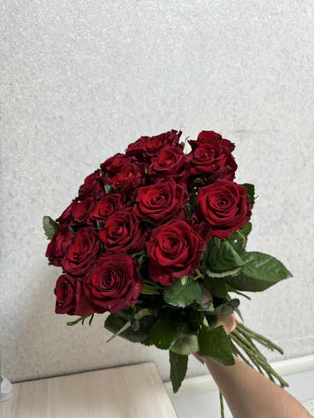 розы 23 штуки новые красивые