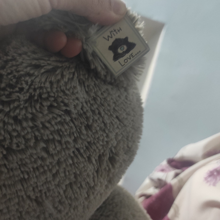 Teddy ayiq kottasi sotiladi xolati yengi tutilmagan