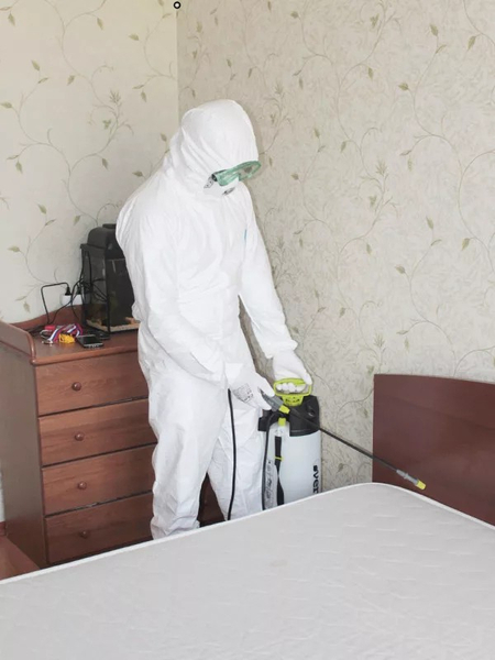 dezinfeksiya дезинфекция дезинсекция dezinfeksiya klapa