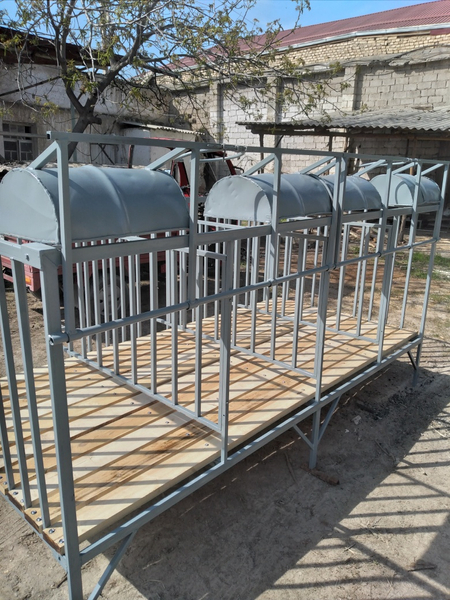 Qo'y katak taxta polik
