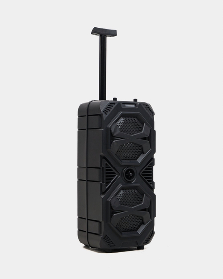Kalonka Subwoofer Sing-e ZQS8212