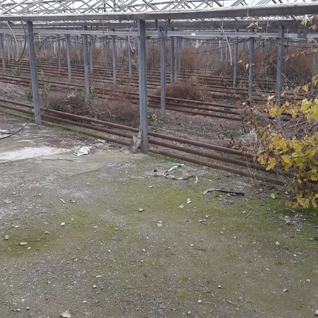 Недвижимость бизнес