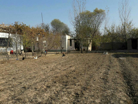 Hovli sotiladi. Termiz tumani(40 yillik)