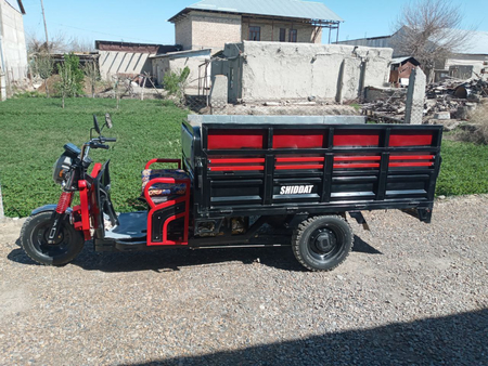 Elektron 3 g'ildirakli motosikl
