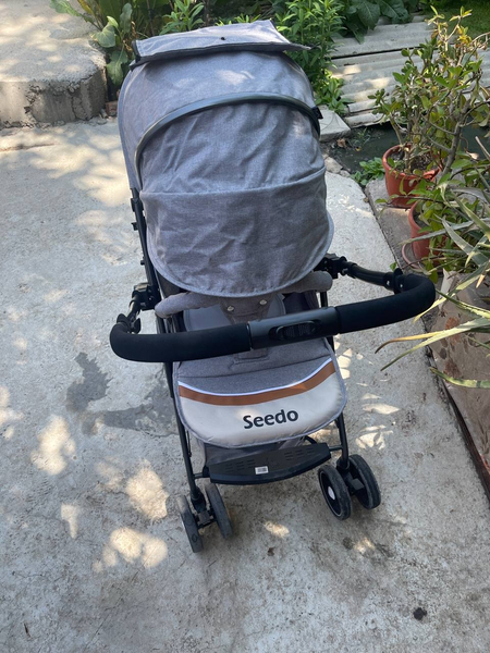 Коляска чемодан seedo