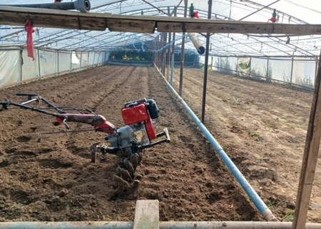 Zof agro services