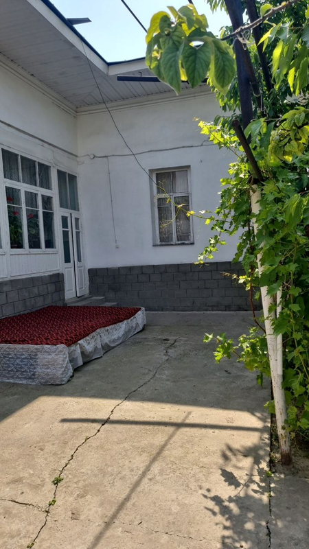 Uch tepa paxtakor mahalada uy sotiladi
