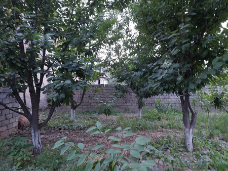 Торопитесь самая низкая цена за сотку Шортепа,207 школа,Сарбон,род дом