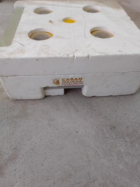 Inkibatir sotiladi Turkiyadon olib keltirilgan
