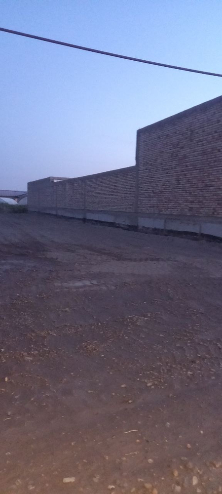 Severni guliston mosdan