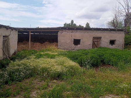 Уй сотилади достлик 1да тинч махала