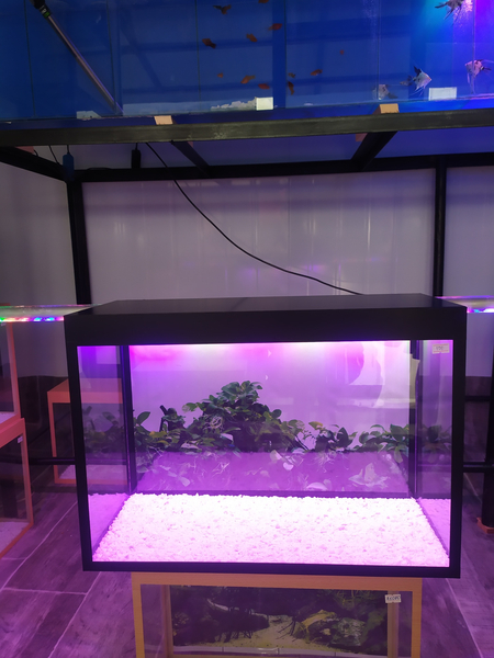 Продаются аквариум новый Akvarium yangi