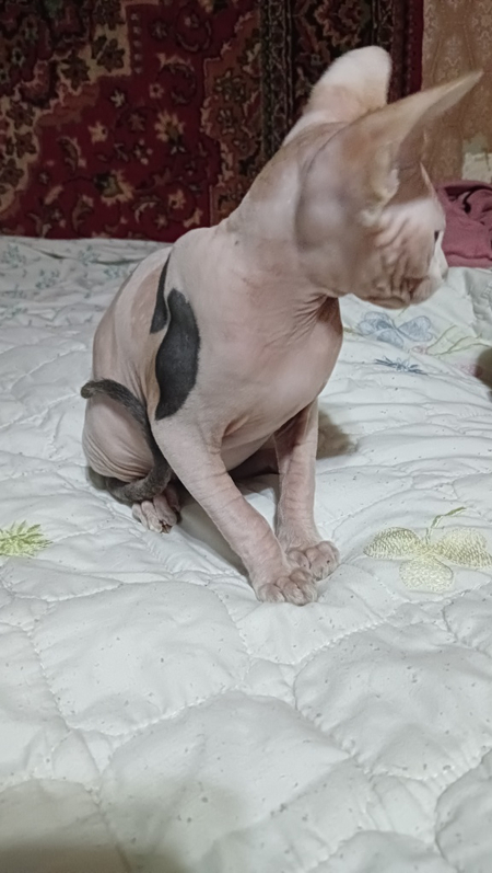 Есть аллергия, тогда это для вас!