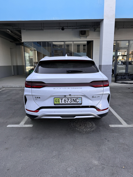 Byd chepion 605  flakship