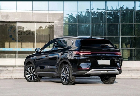 BYD song chimpion