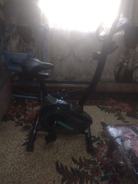 Trnajor velasiped