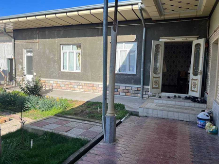 Сампи студентларига ХОНА (хамма шароитлари бор туловлари ичида)