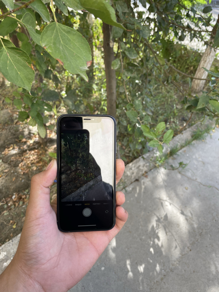 Iphone 15 pro, iphone Xr 15 pro qilingan ideal !