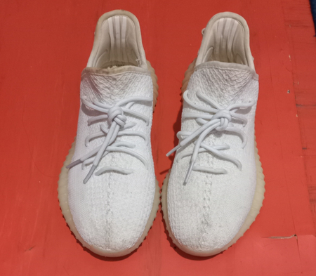 Adidas yeezy boost 350