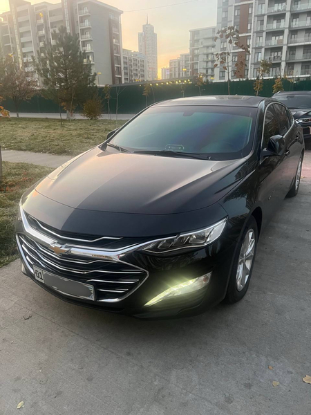 Malibu premyer qora