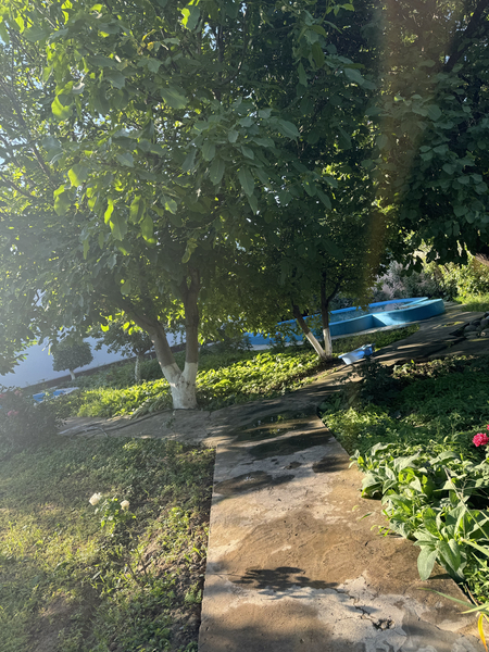 Dacha sotiladi. 32 sotik