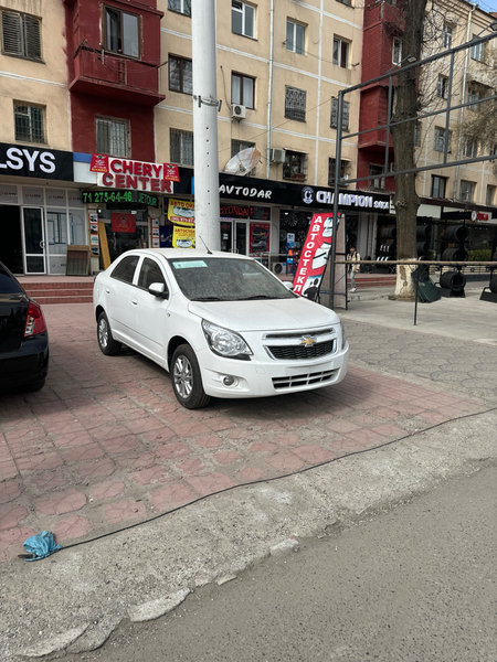 Kobolt stayl Cobalt avtomat 2024