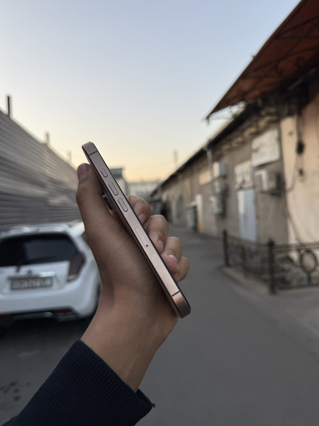 iPhone 16 Pro 256 dual