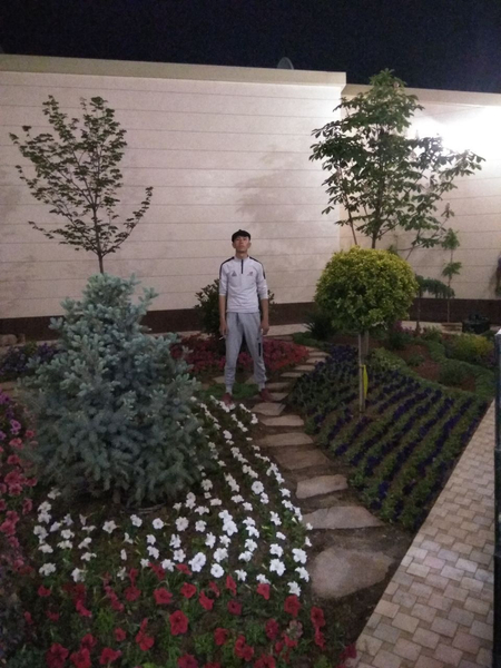 Ландшафт дизайн  Landshaftniy dizayner