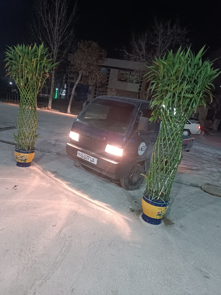Лабо доставка Шахар, район