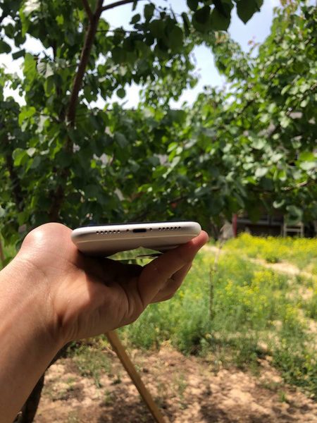 iPhone 11   128 gb