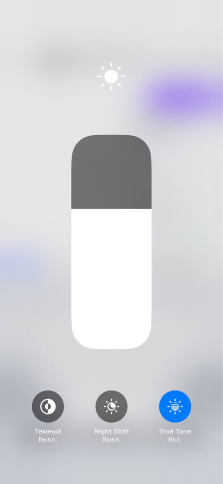 iPhone Xs 256Gb LL/A