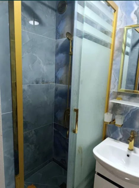 Ш.Руставели 1в2/4/4 мебель+техника