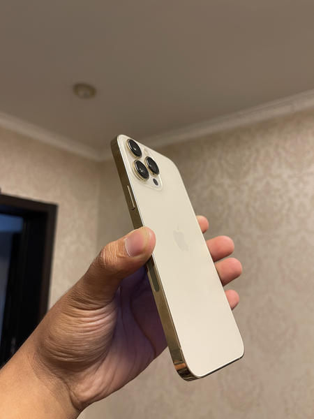 Iphone13 pro max
